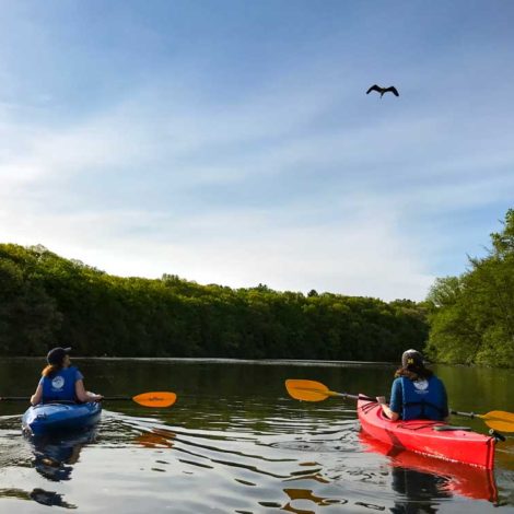 PFAS and Recreation on the Huron River - Huron River National Water Trail